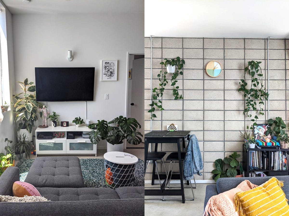 I have 65 houseplants, and these are the plant care essentials that ...