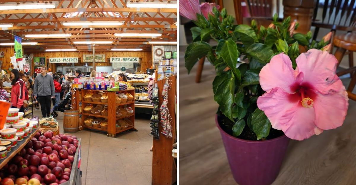 Georgia locals know summer truly starts when this farmer’s market opens