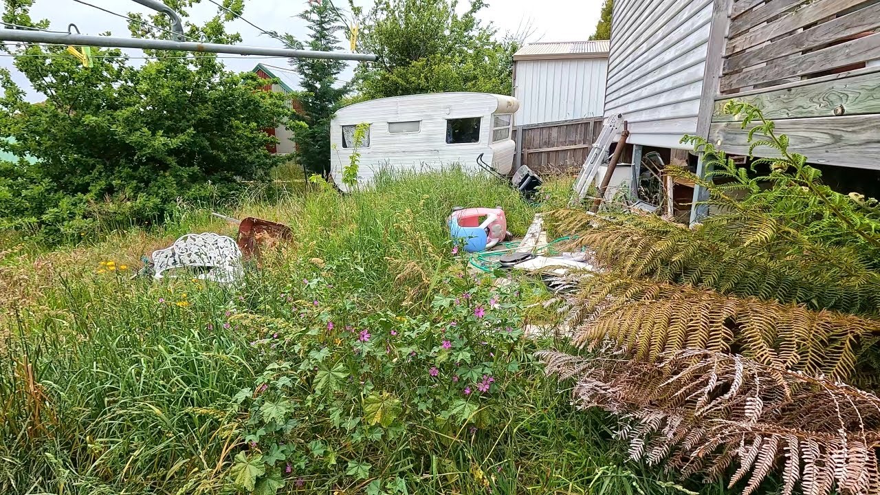 I transformed a disaster yard into paradise! 🌼