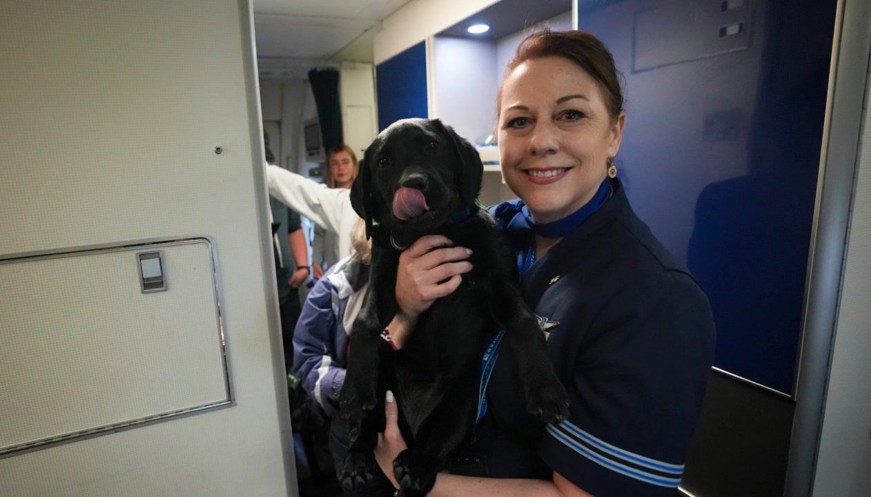 More than 100 puppies took over Newark Airport—and the photos are full ...