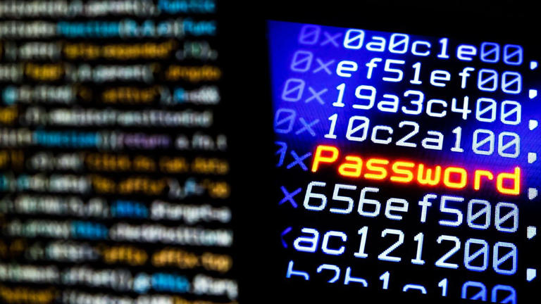 Attention content creators: your WordPress plugin of choice may have ...