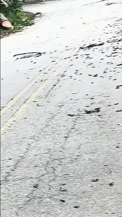 Swamp Rabbit Trail cleanup - Part 2