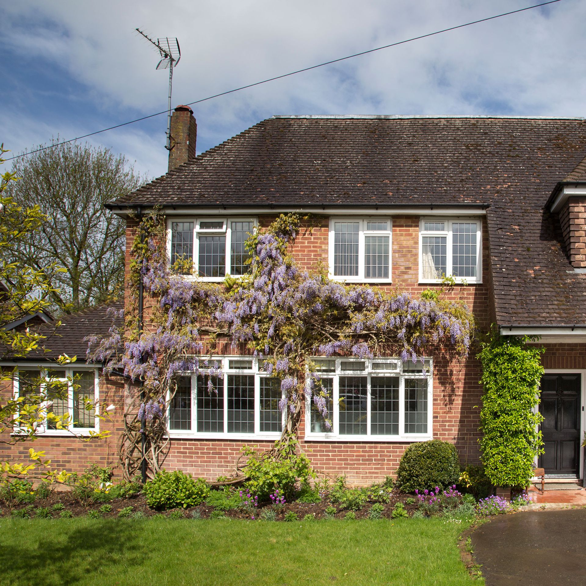 Beautiful cottage garden ideas to create a charming and organic outdoor ...