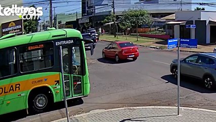 Cão é atropelado, tem fratura exposta e motorista foge sem prestar ajuda