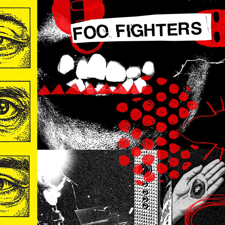 Foo Fighters 'Your Favorite Toy' album review