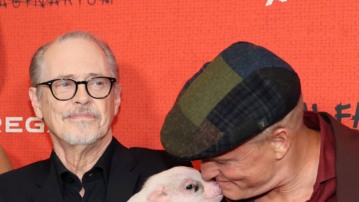 Steve Buscemi looks so happy with his new wife and a baby pig on the ...