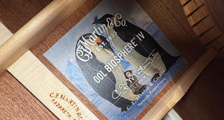Martin marks Earth Day with a custom graphic acoustic in the name of ...