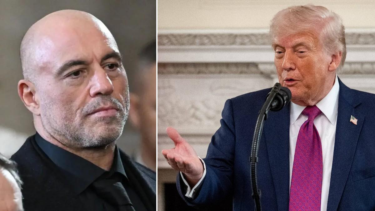 Donald Trump called 'politically homeless' Joe Rogan a 'liberal' during ...