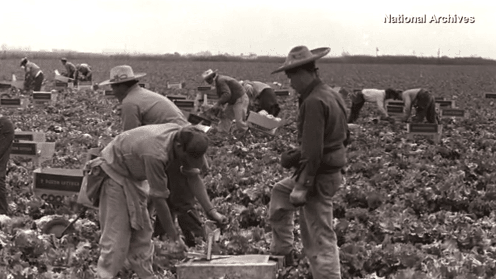 Amazing America: Bracero program's legacy recalled through oral ...