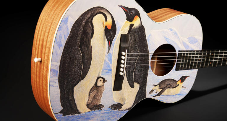 Martin marks Earth Day with a custom graphic acoustic in the name of ...