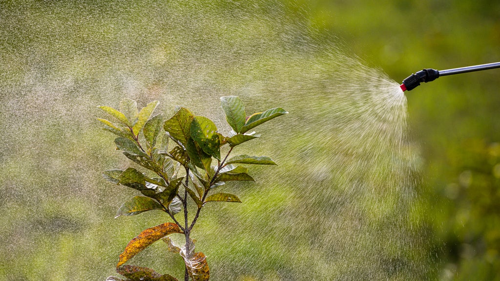 Prevent chemical runoff this spring by going easy on fertilizer and ...