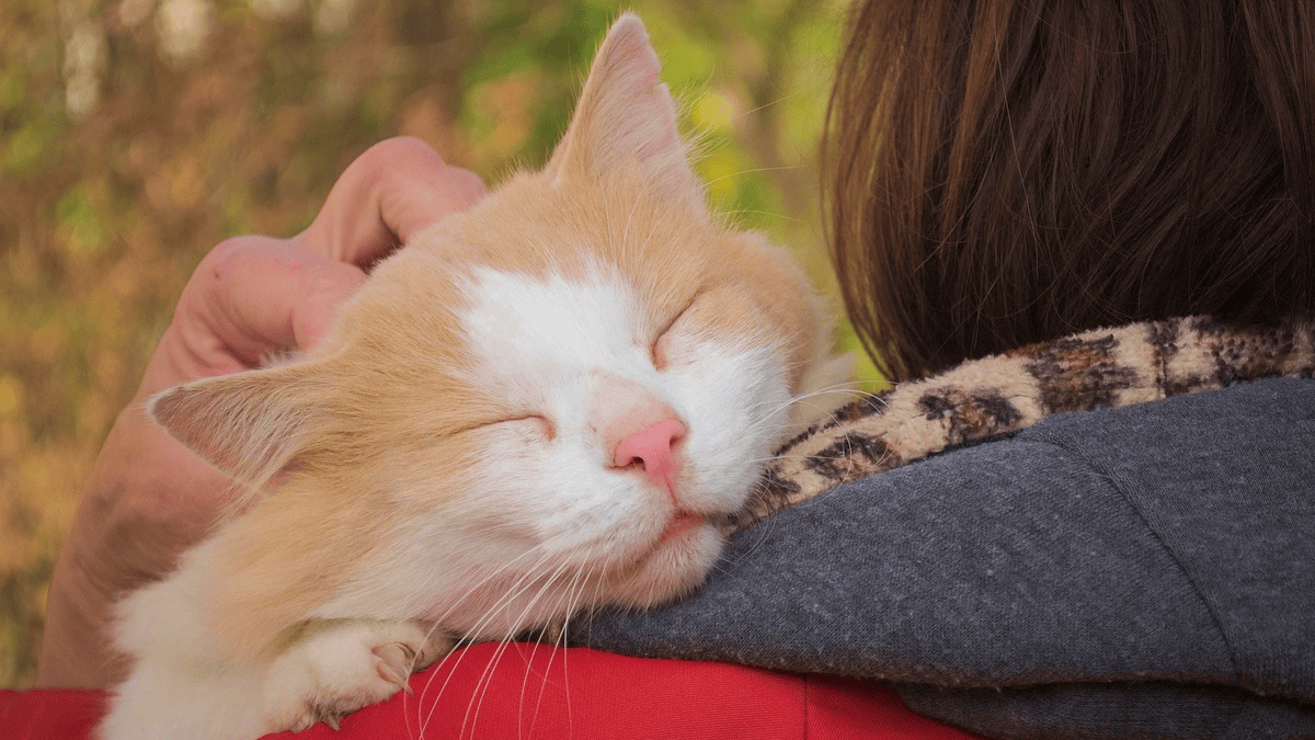 She swore she loved only dogs, until cats came into her life