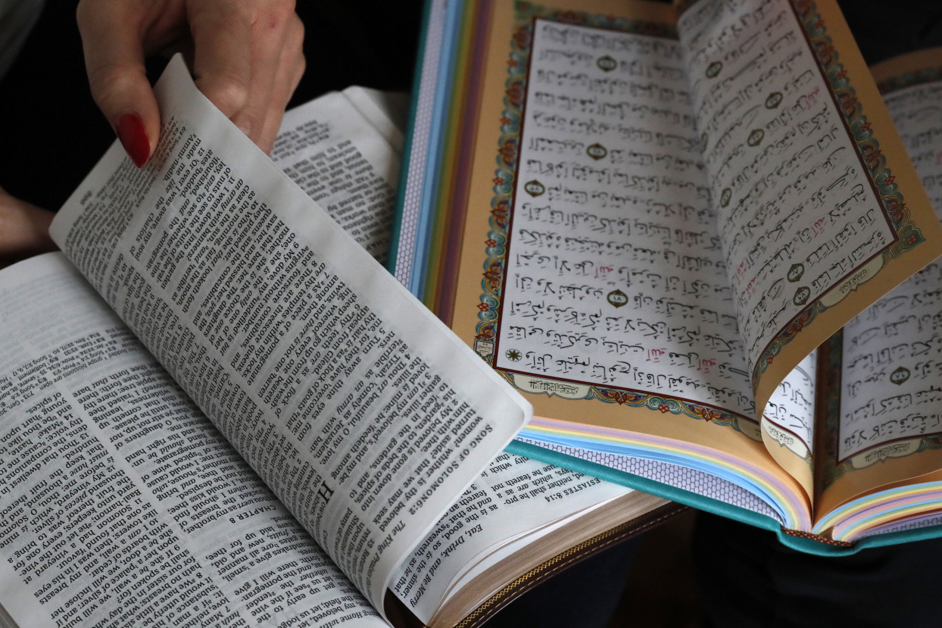 What are the key differences and similarities between the Bible and Quran?