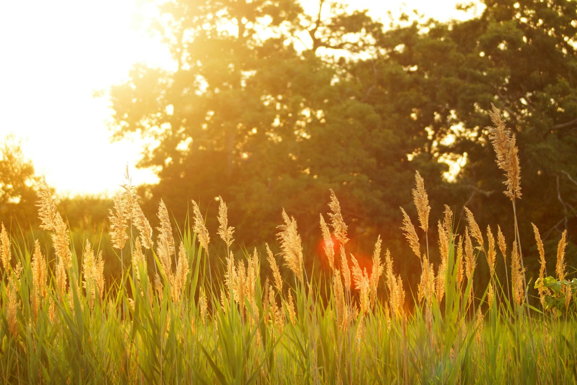 From Kelowna to Kuala Lumpur: 10 things about Southeast Asian life that ...