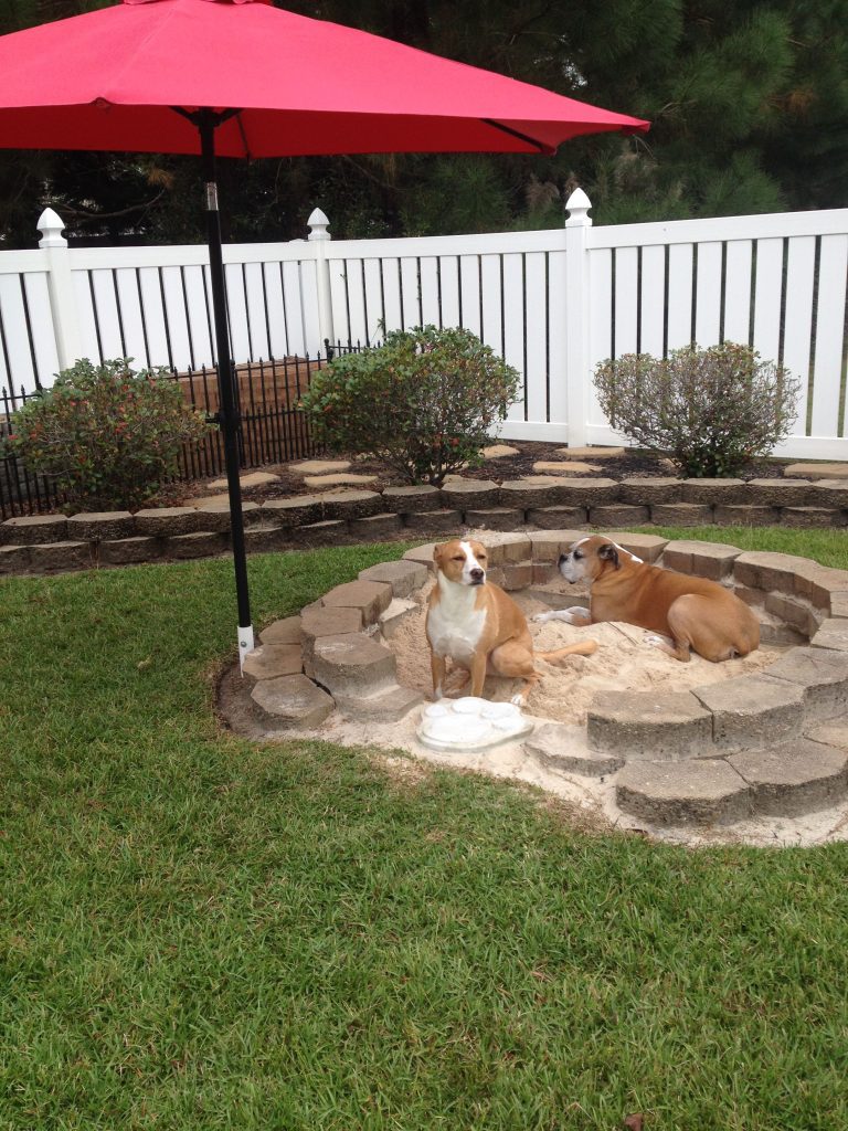 40 pet-friendly backyard designs to make pets feel right at home