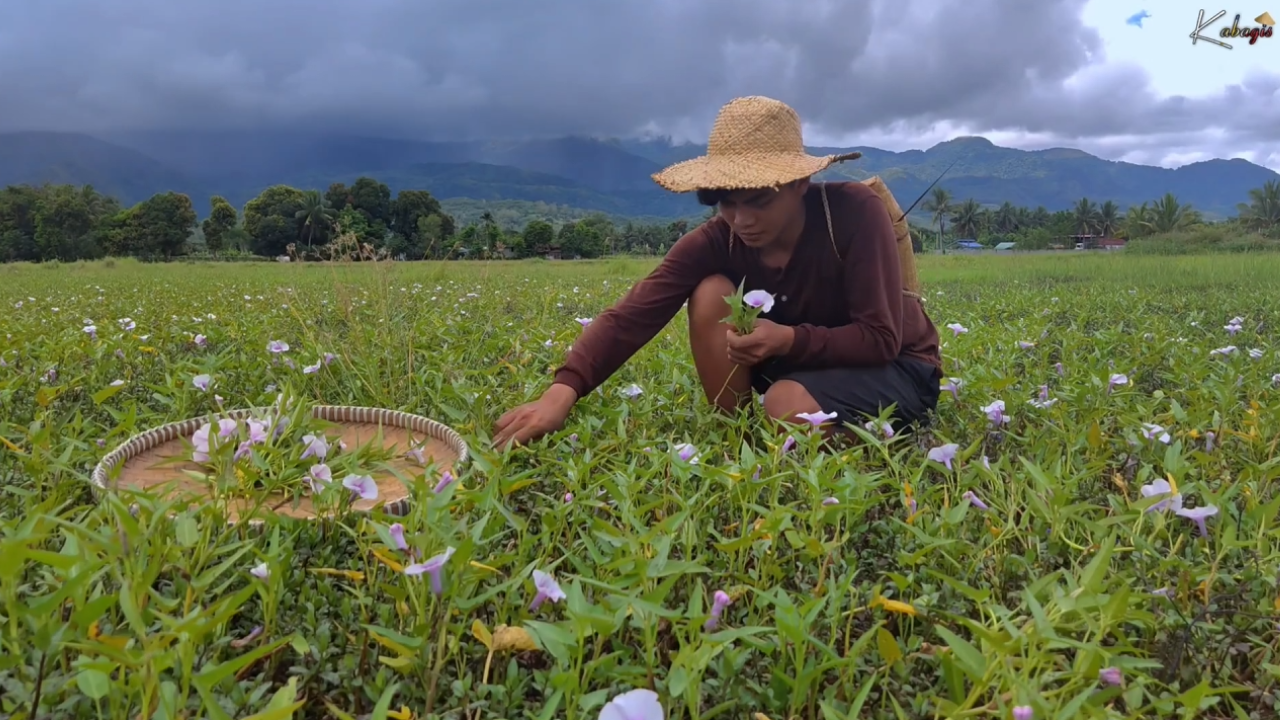 A day in the countryside from feeding pigs to cooking pancit