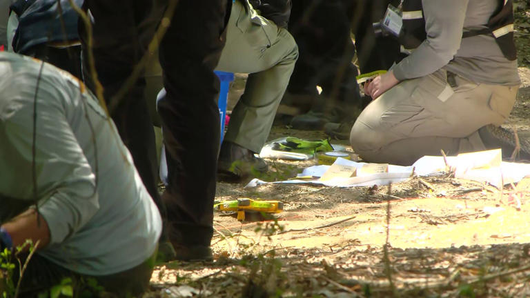 Remains of three children found behind Memphis auto parts store still ...