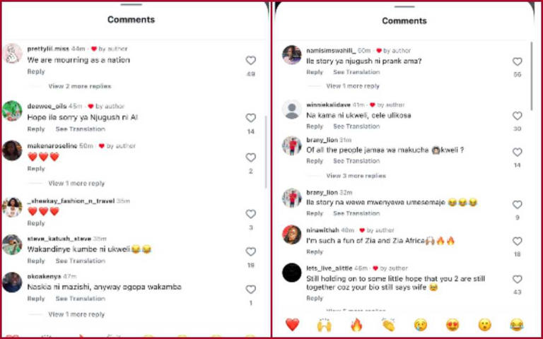 Celestine Ndinda raises eyebrows after liking "fake breakup" comments ...