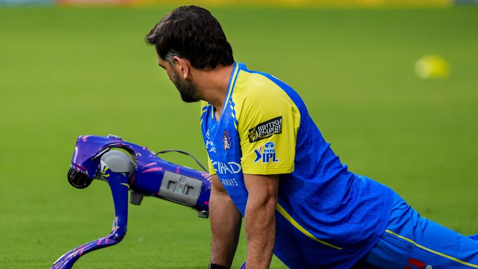MS Dhoni's heartfelt video playing with IPL robot dog Champak wins ...