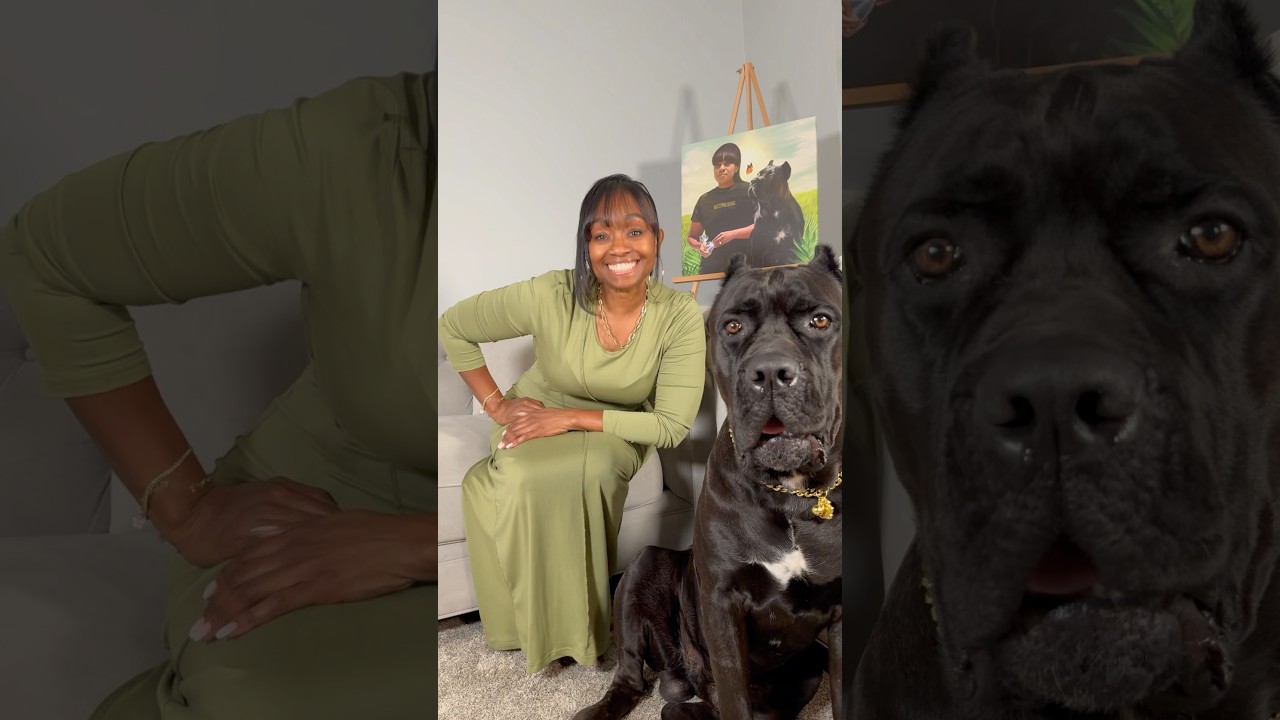 He's over it 😭 #raisingbane #bigdogs #funnydogvideos #funnypets # ...