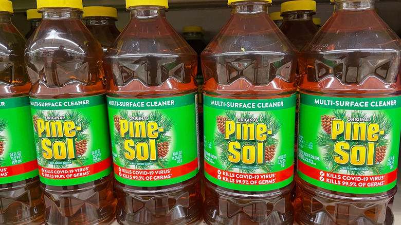 Make your own homemade Pine-Sol using safe, non-toxic ingredients