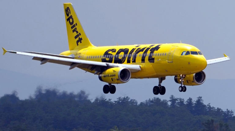 O’Leary: Possible Spirit Airlines bailout 'really bad idea'