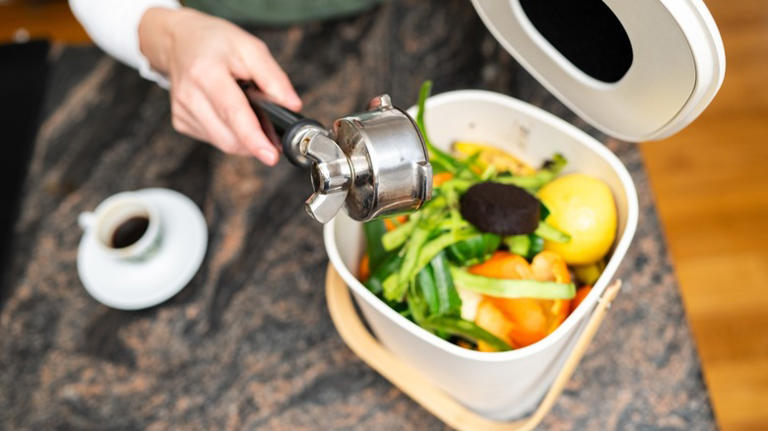 What you need to know before using coffee grounds in your vegetable garden