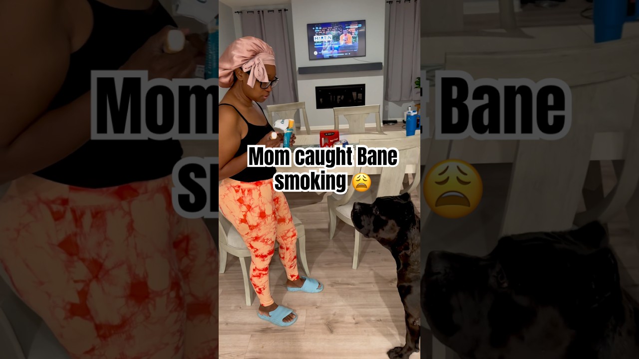Mom bought Bane cigarette chew toys
