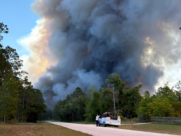 Wildfire Blog: Firefighters work to contain Cow Creek Fire in Levy ...