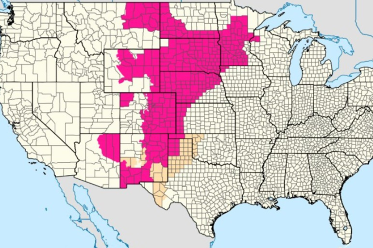 Map shows wildfire risks nationwide as homes destroyed