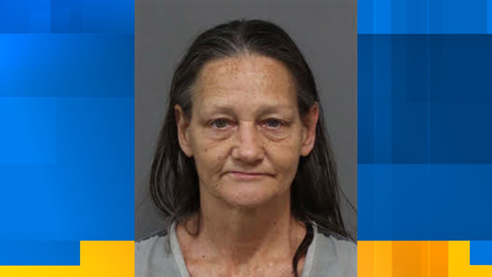 Woman charged with attempted murder after attacking store employee with ...