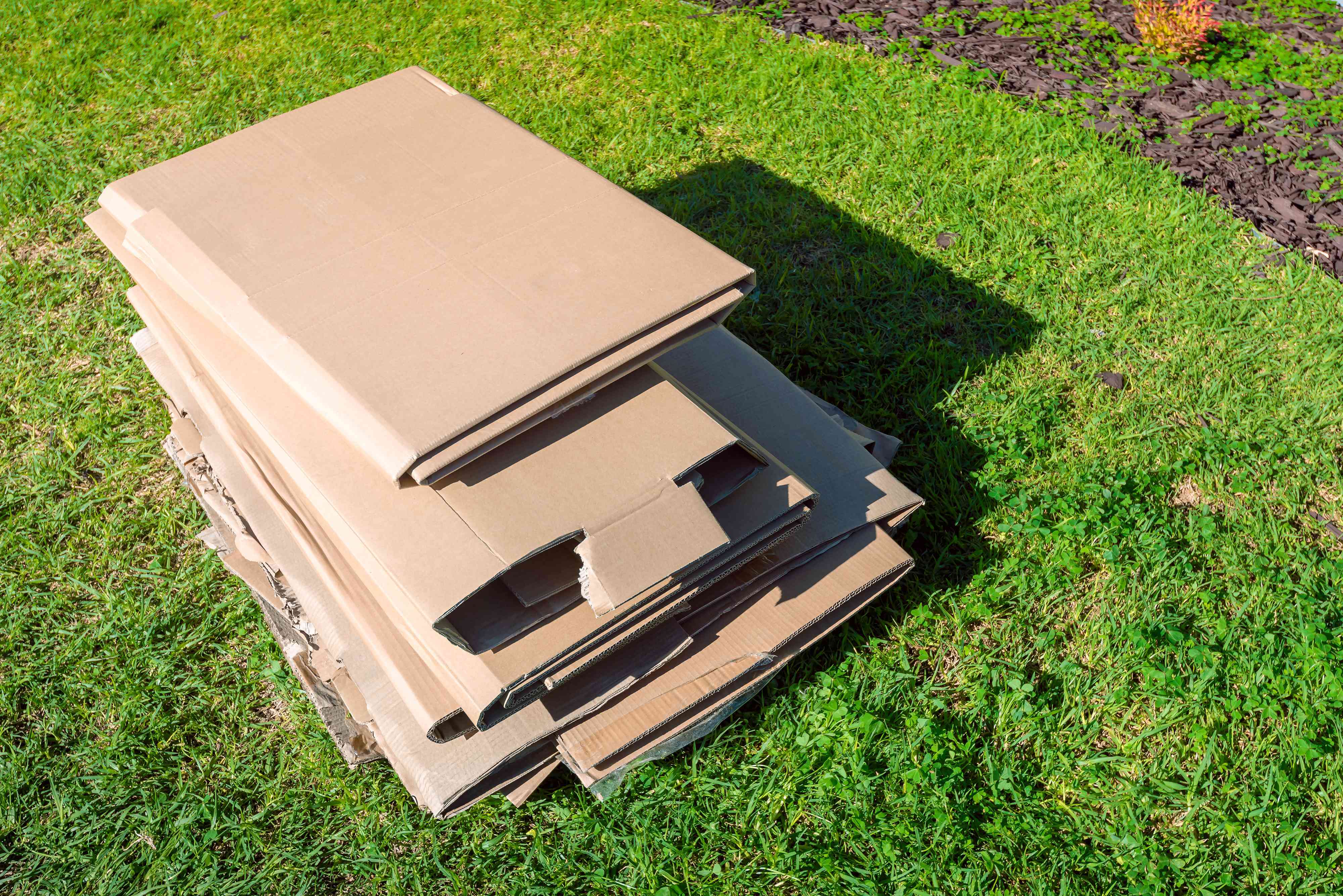 How to use cardboard in the garden to prevent weeds and enrich soil