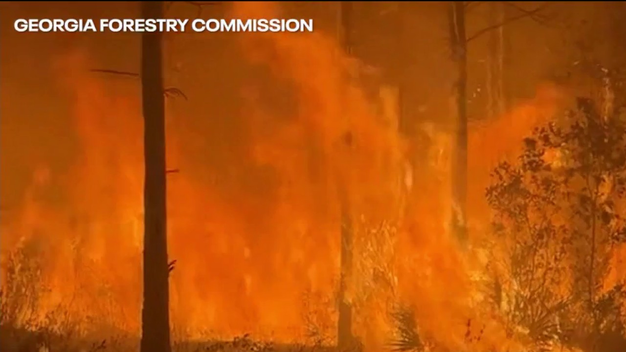 State of emergency issued as wildfires ravage South Georgia