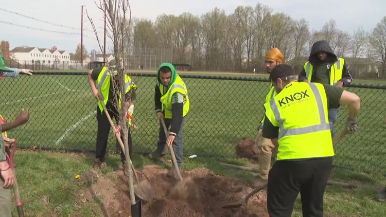Community members will plant trees across Connecticut to celebrate ...