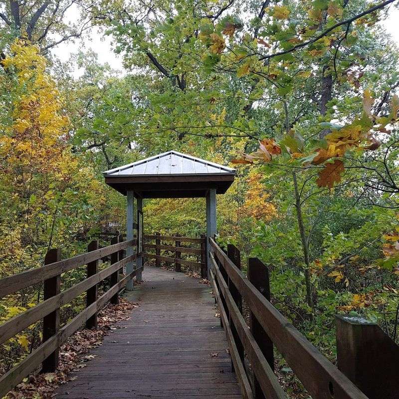 This Indiana nature preserve protects one of the last remaining high ...