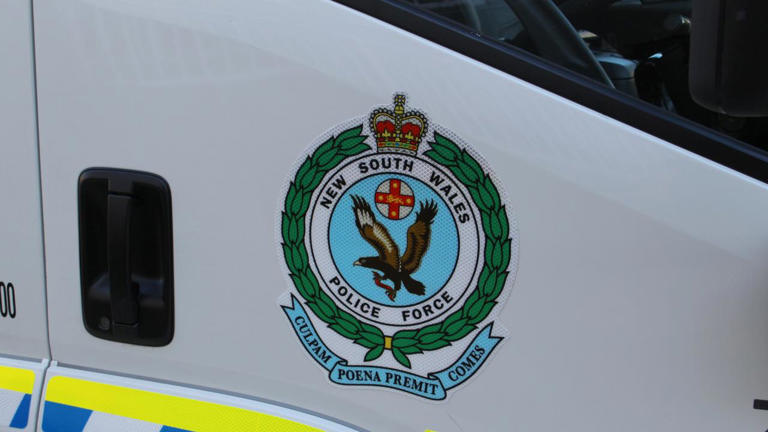 Most domestic violence-charged police remain in the job