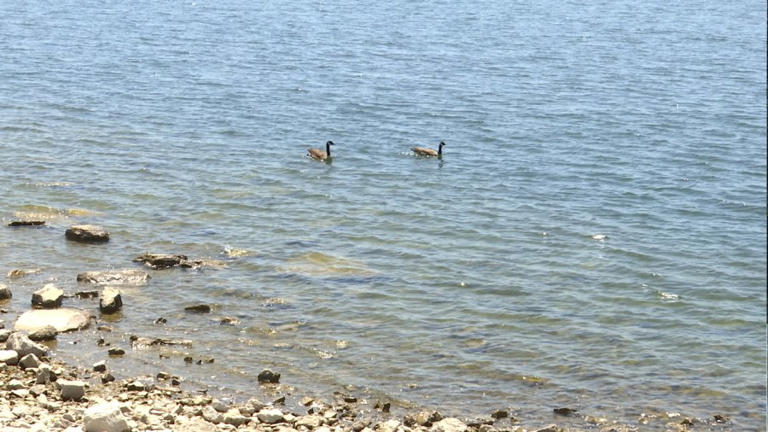 Boaters beware: Percy Priest Lake, Cumberland Basin at low levels