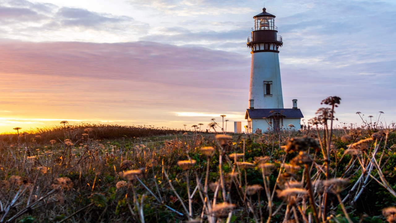 One mile of ancient lava off Newport, Oregon holds the state’s tallest ...