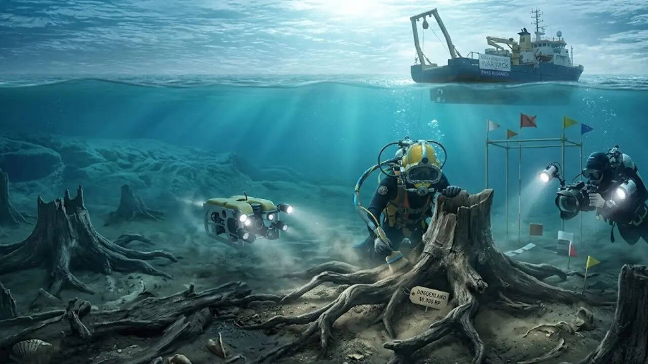A hidden prehistoric forest was just discovered beneath the North Sea ...