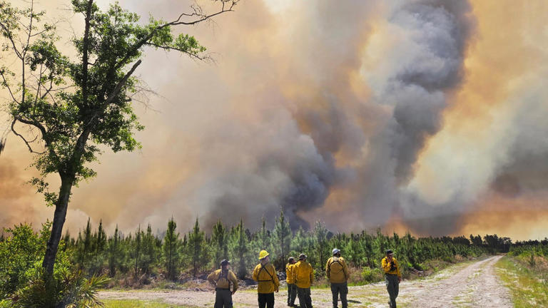 Dozens of homes destroyed as Georgia wildfires force evacuations, send ...