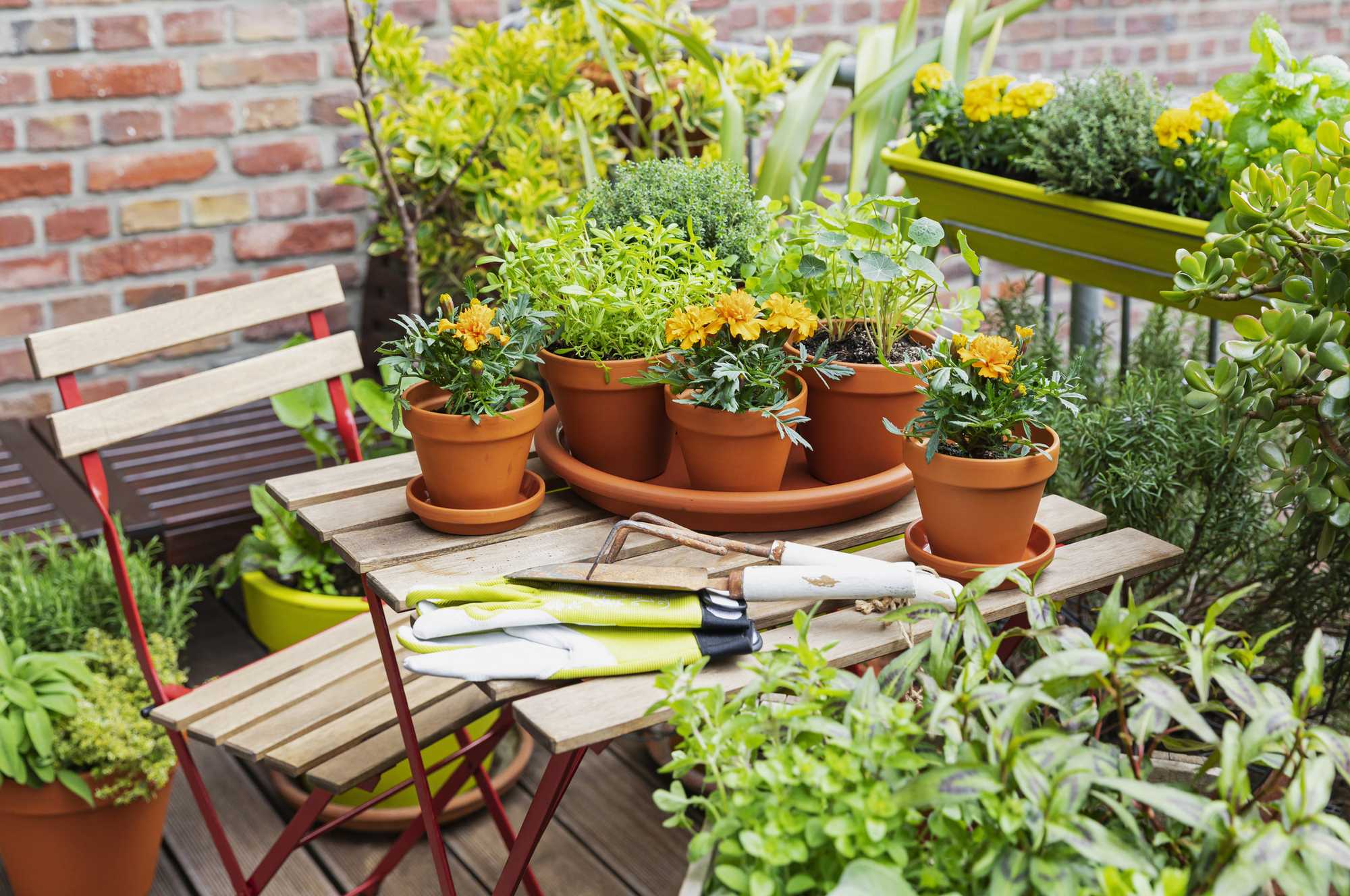 12 dreamy mini garden ideas that work in even the smallest spaces