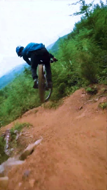 Mountain biking madness, epic forest trail adventure