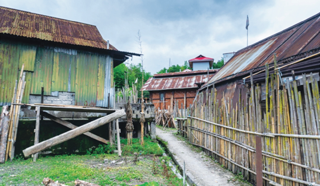 Sugor Tso: An alpine lake system of Upper Siang