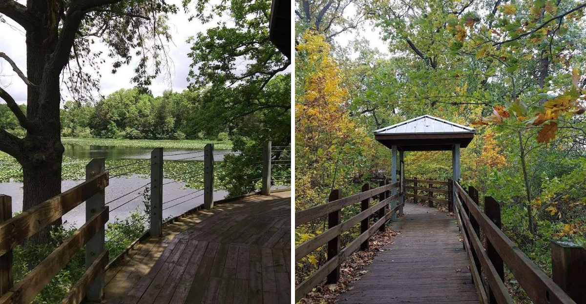 This Indiana nature preserve protects one of the last remaining high ...
