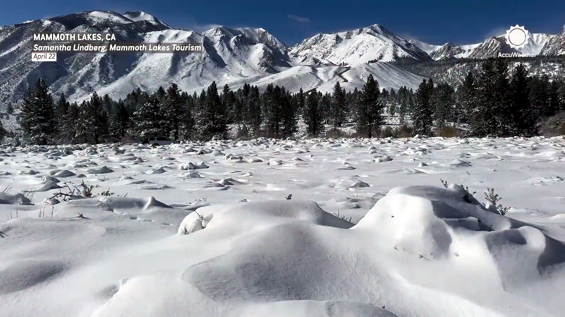 More than a foot of fresh April snow falls on Mammoth Mountain