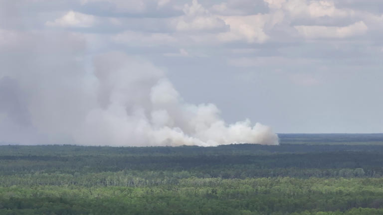 Wildfire Live Blog: Firefighters work to contain Cow Creek Fire in Levy ...
