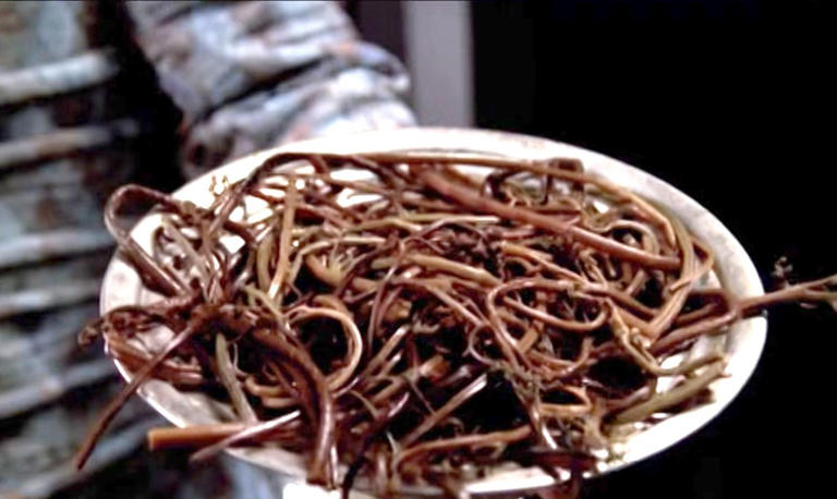 Invasive 'crazy worms' confirmed in California, and there's no way to ...