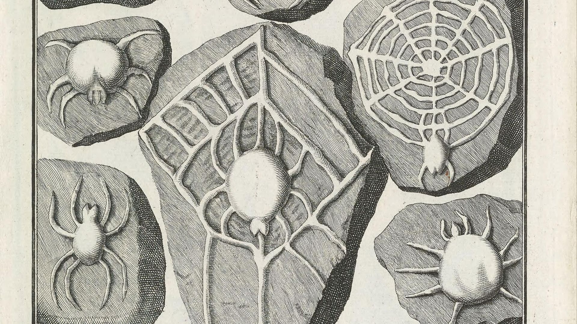 20 scientific frauds that set research back for years