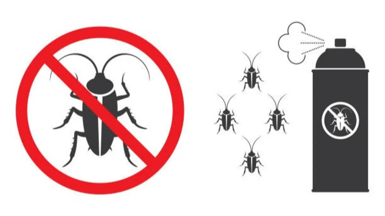 How to get rid of cockroaches naturally: 10 proven home remedies that ...