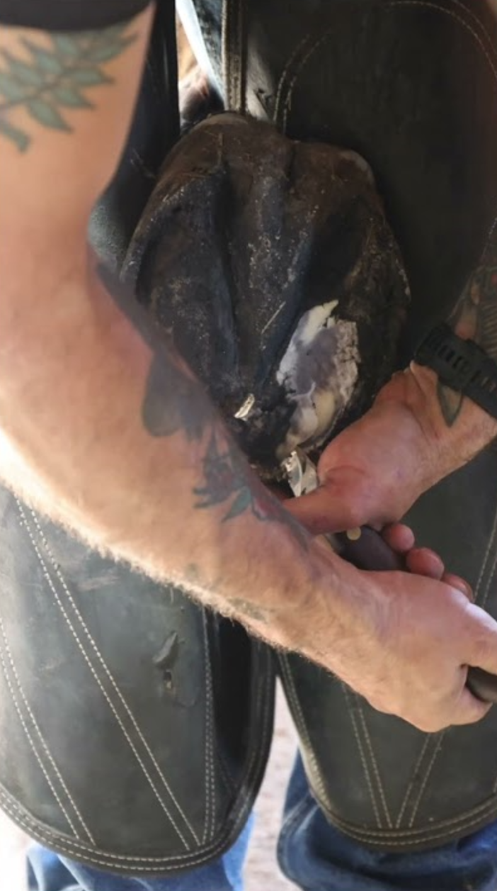 Most satisfying hoof trim ever